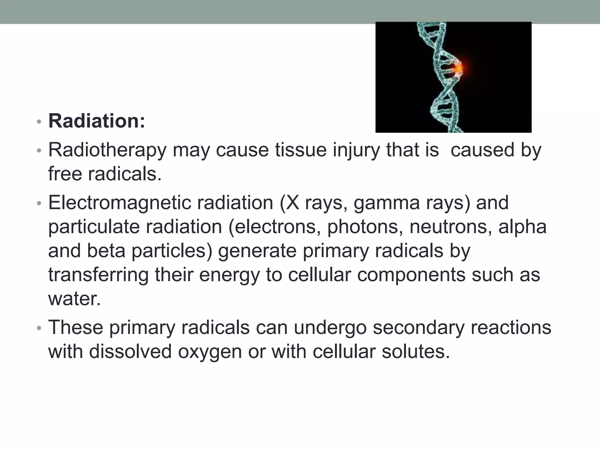 13. free radicals and antioxidants | PPTX