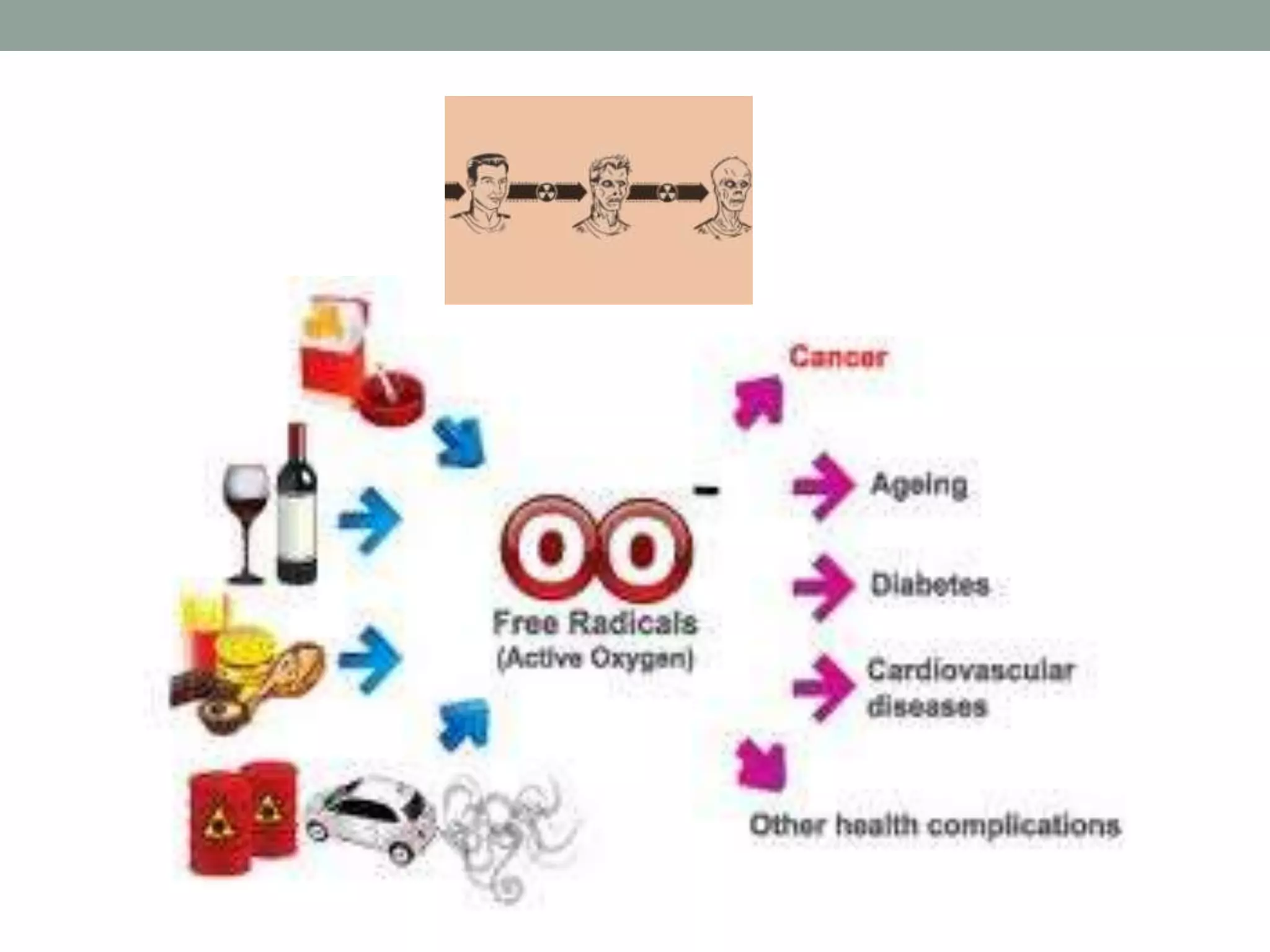 13. free radicals and antioxidants | PPTX
