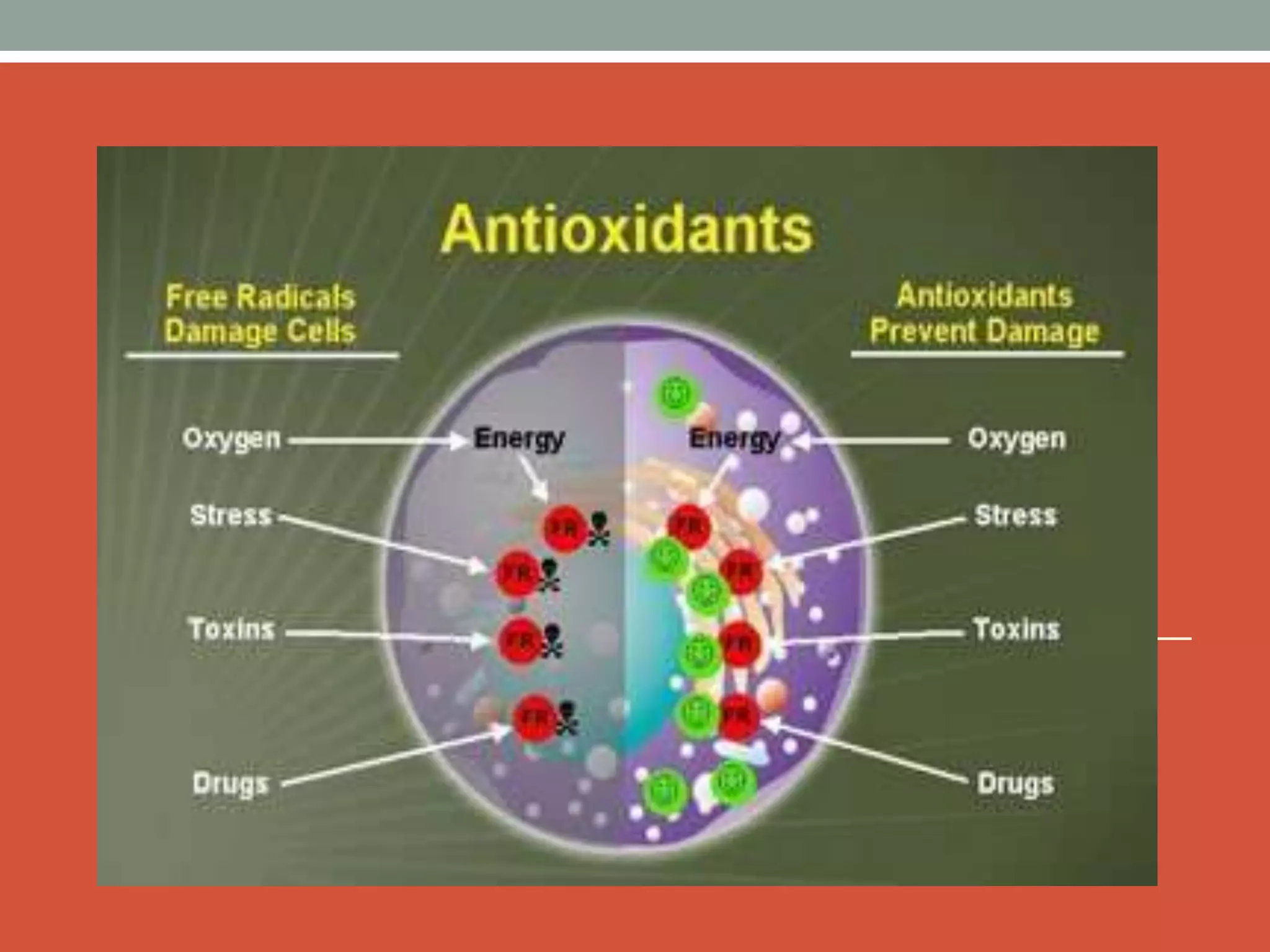 13. free radicals and antioxidants | PPTX