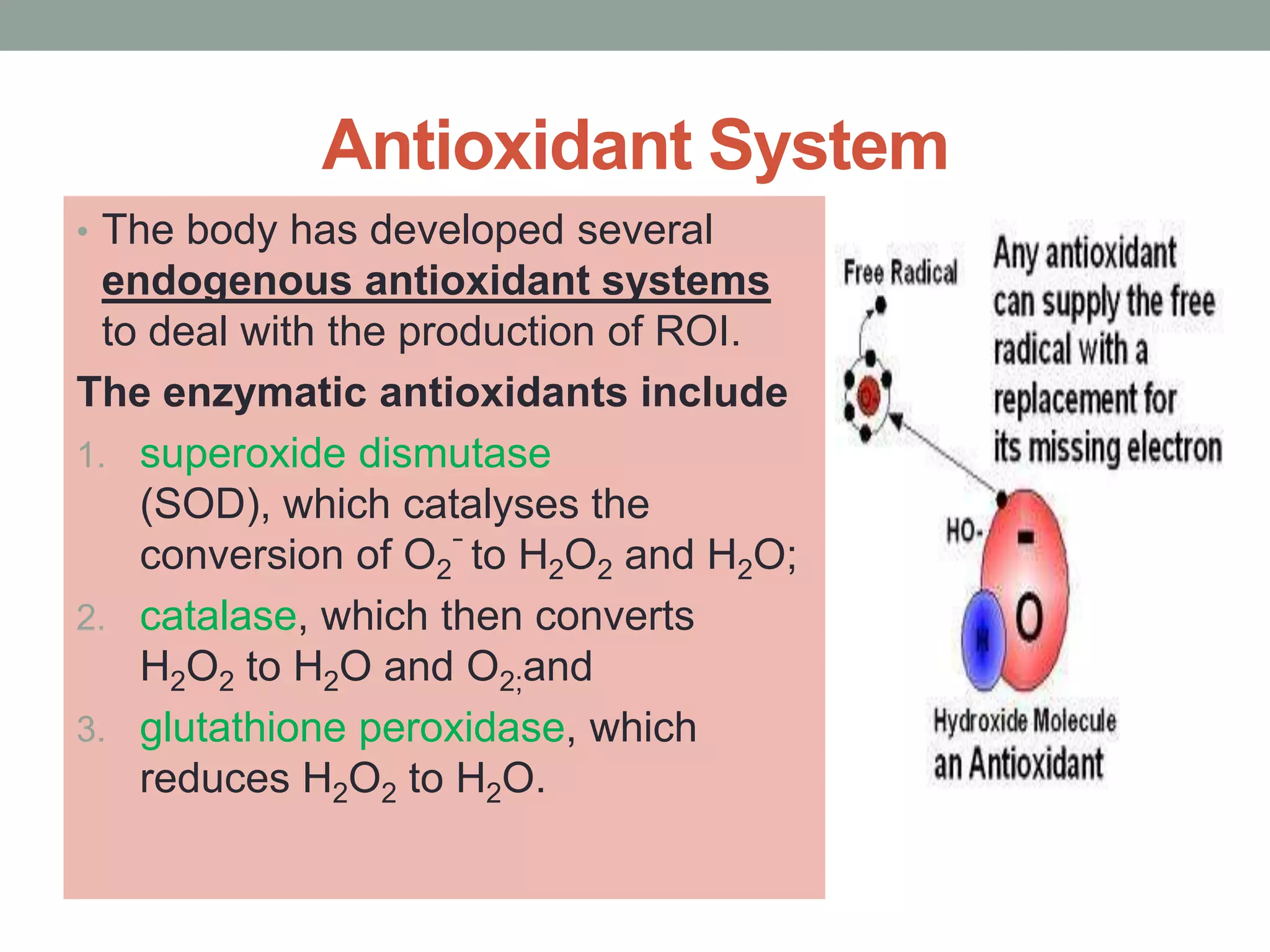 13. free radicals and antioxidants | PPTX
