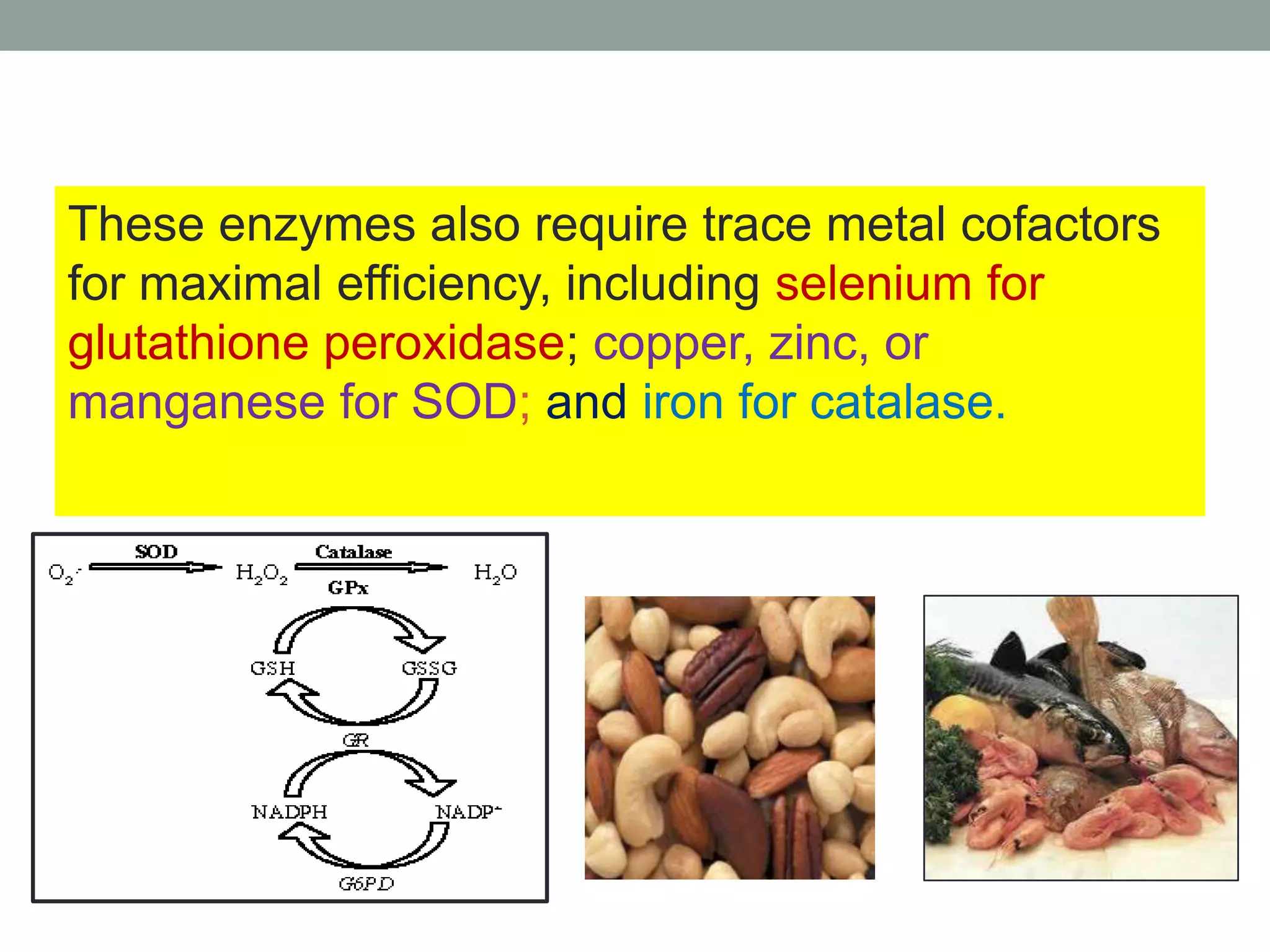 13. free radicals and antioxidants | PPTX