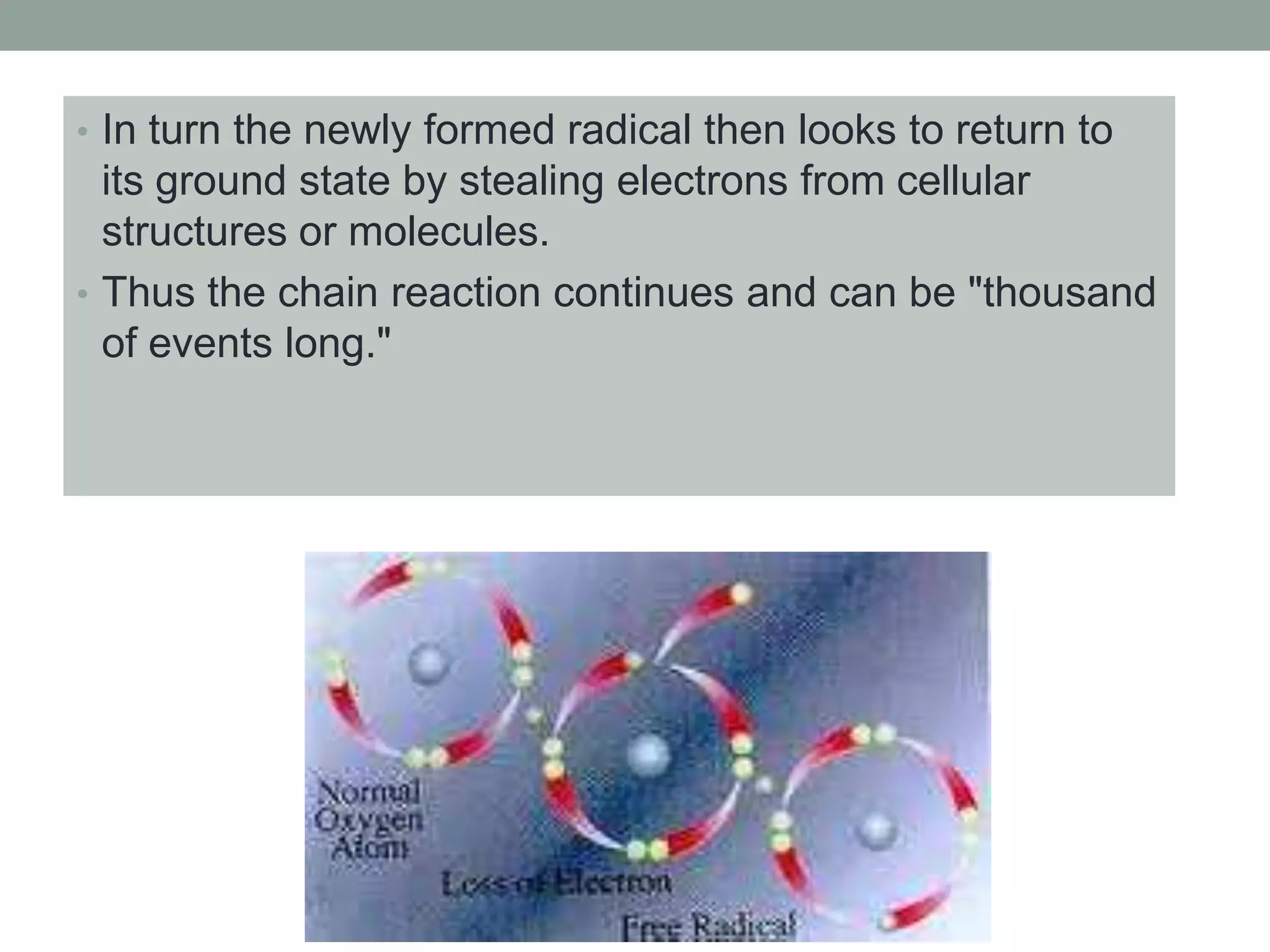 13. free radicals and antioxidants | PPTX