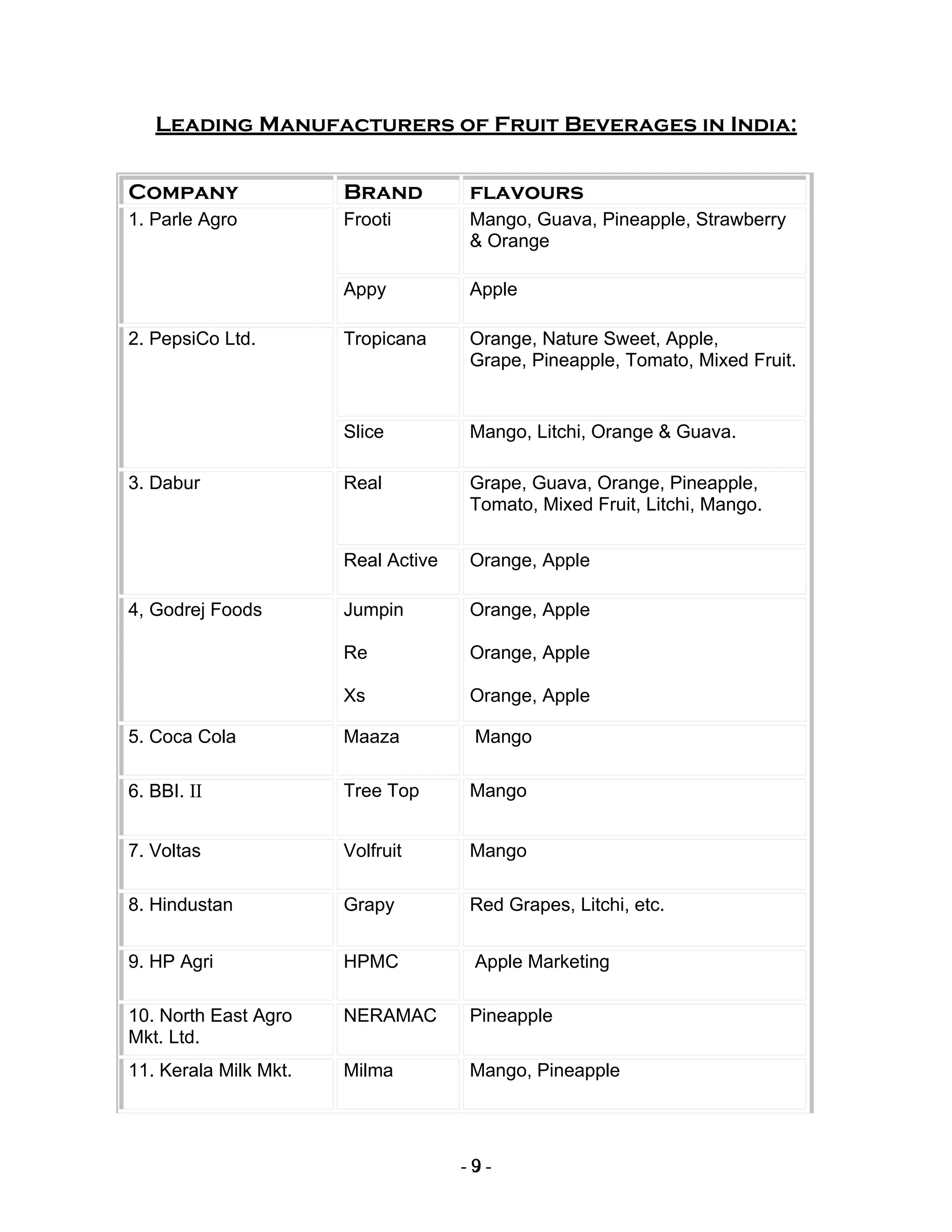 13 Fruit Juice Project Doc
