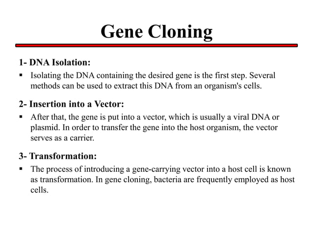13- Gene Cloning & Clone Confirmation.pptx