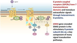 Genetic Diseases & Syndromes Associated With Pituitary Tumors | PPT