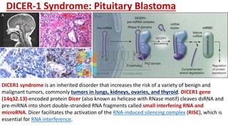 Genetic Diseases & Syndromes Associated With Pituitary Tumors | PPT
