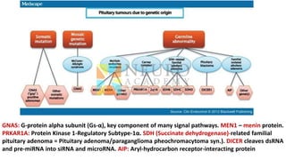 Genetic Diseases & Syndromes Associated With Pituitary Tumors | PPT