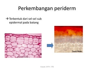 13 jaringan | PDF