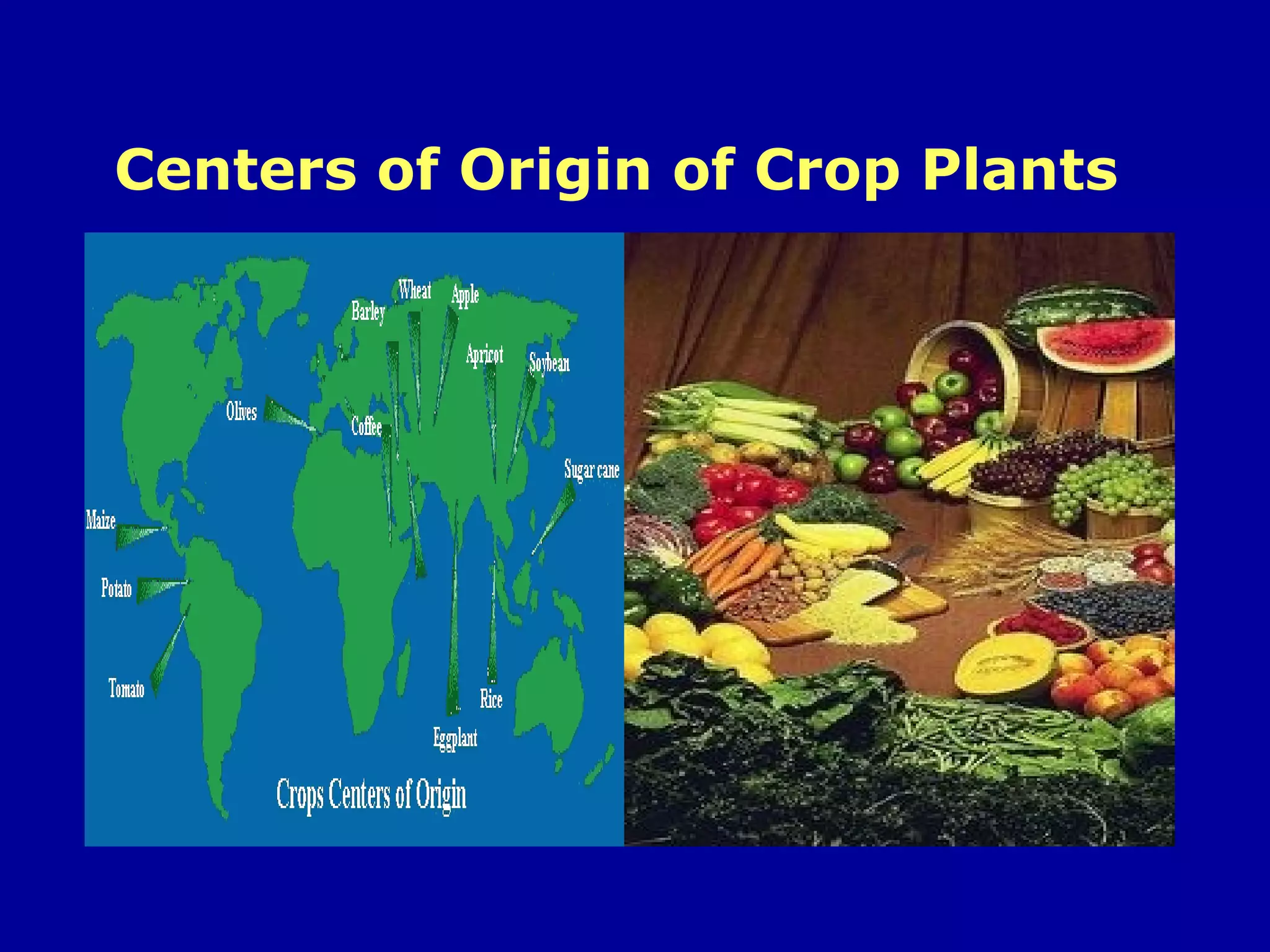 Origin of Crops | PPT