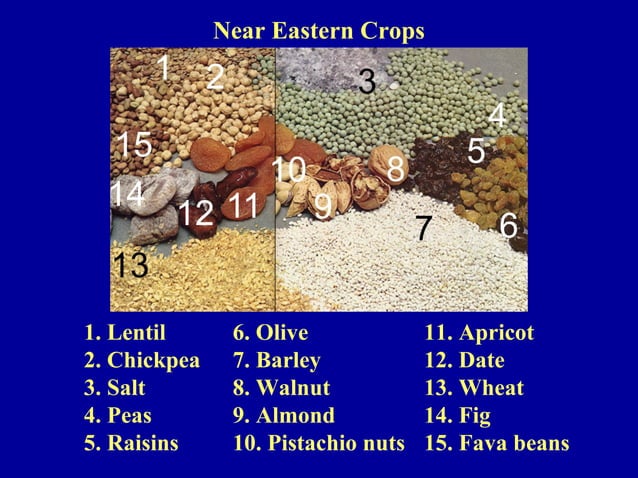 Origin of Crops | PPT
