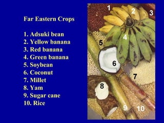 Origin of Crops | PPT