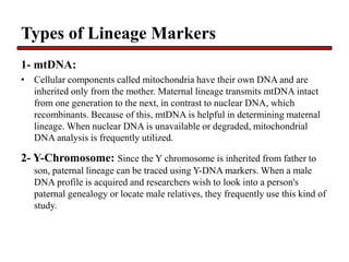 Lineage Markers in Forensic Serology & DNA Typing.pptx