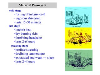 13- malaria.ppt