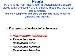 13- malaria.ppt