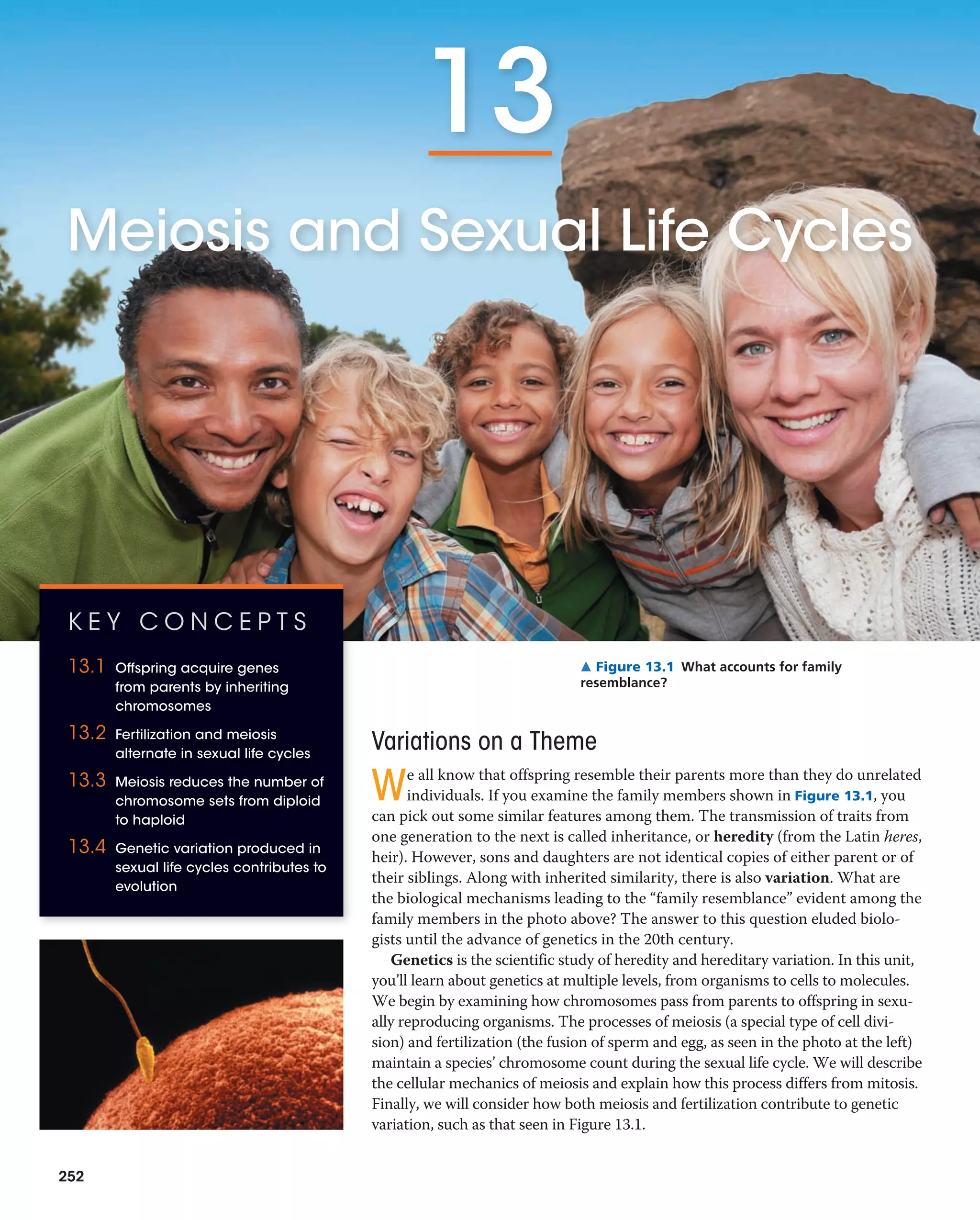 13 meiosis and sexual life cycles | PDF