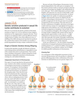 13 meiosis and sexual life cycles | PDF