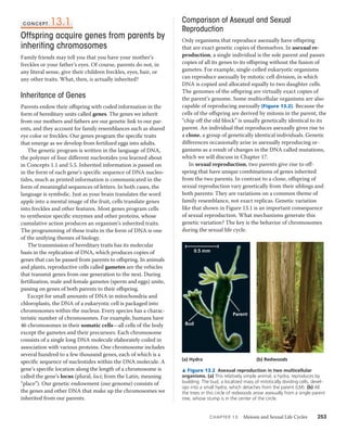 13 meiosis and sexual life cycles | PDF