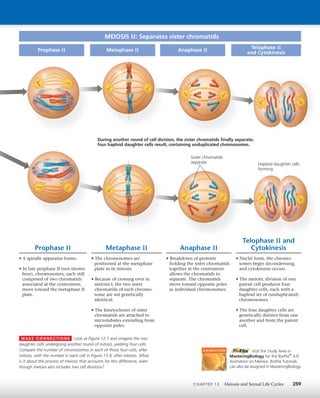 13 meiosis and sexual life cycles | PDF