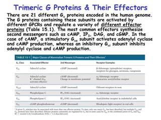 13-miller-chap-15-lecture.ppt