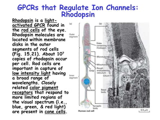 13-miller-chap-15-lecture.ppt