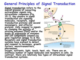 13-miller-chap-15-lecture.ppt