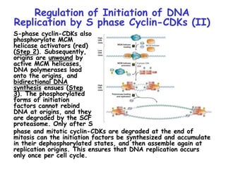 13-miller-chap-19-lecture (1).ppt | Biological Sciences | Science