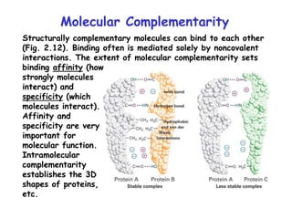 13-miller-chap-2-lecture.ppt
