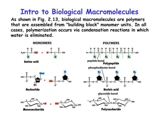 13-miller-chap-2-lecture.ppt