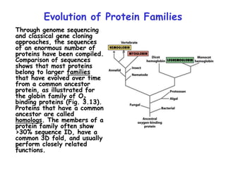 Protein structure and receptor function | PPT