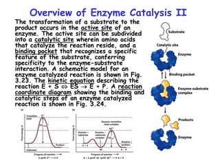 Protein structure and receptor function | PPT