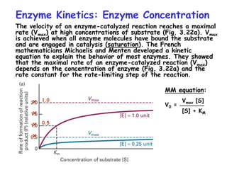 Protein structure and receptor function | PPT