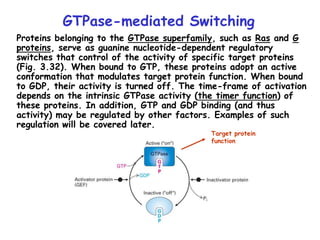 Protein structure and receptor function | PPT