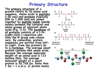 Protein structure primary secondary tertiary.ppt