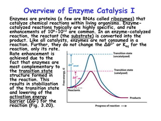 13-miller-chap-3-lecture (1).ppt