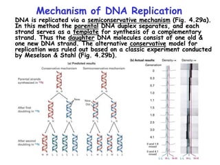 13-miller-chap-4b-lecture.ppt | Programming Languages | Computing