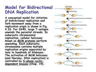 13-miller-chap-4b-lecture.ppt | Programming Languages | Computing