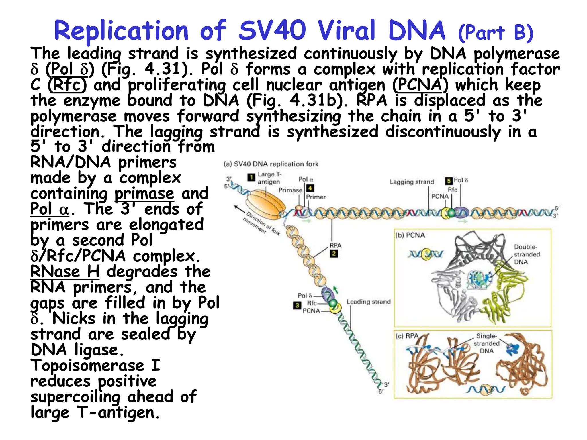 13-miller-chap-4b-lecture.urey miller experiment. | PPT