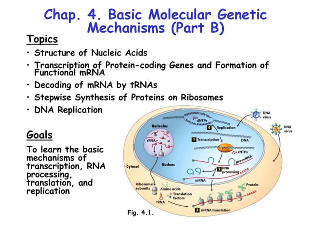 13-miller-chap-4b-lecture.urey miller experiment. | PPT | Programming Languages | Computing