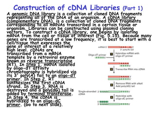 miller-chap-5a | PPT | Biological Sciences | Science