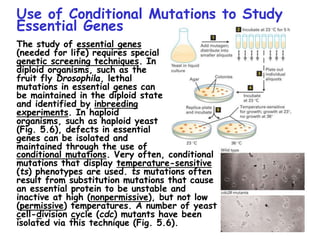 13-miller-chap-5a-lecture.ppt | Biological Sciences | Science