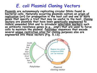 13-miller-chap-5a-lecture.ppt | Biological Sciences | Science