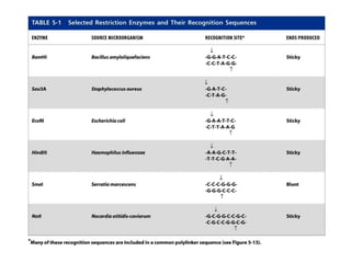 13-miller-chap-5a-lecture.ppt