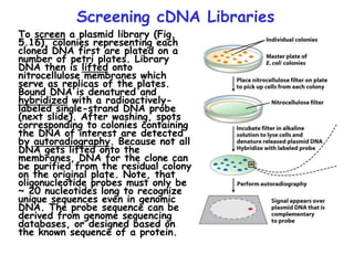 13-miller-chap-5a-lecture.ppt