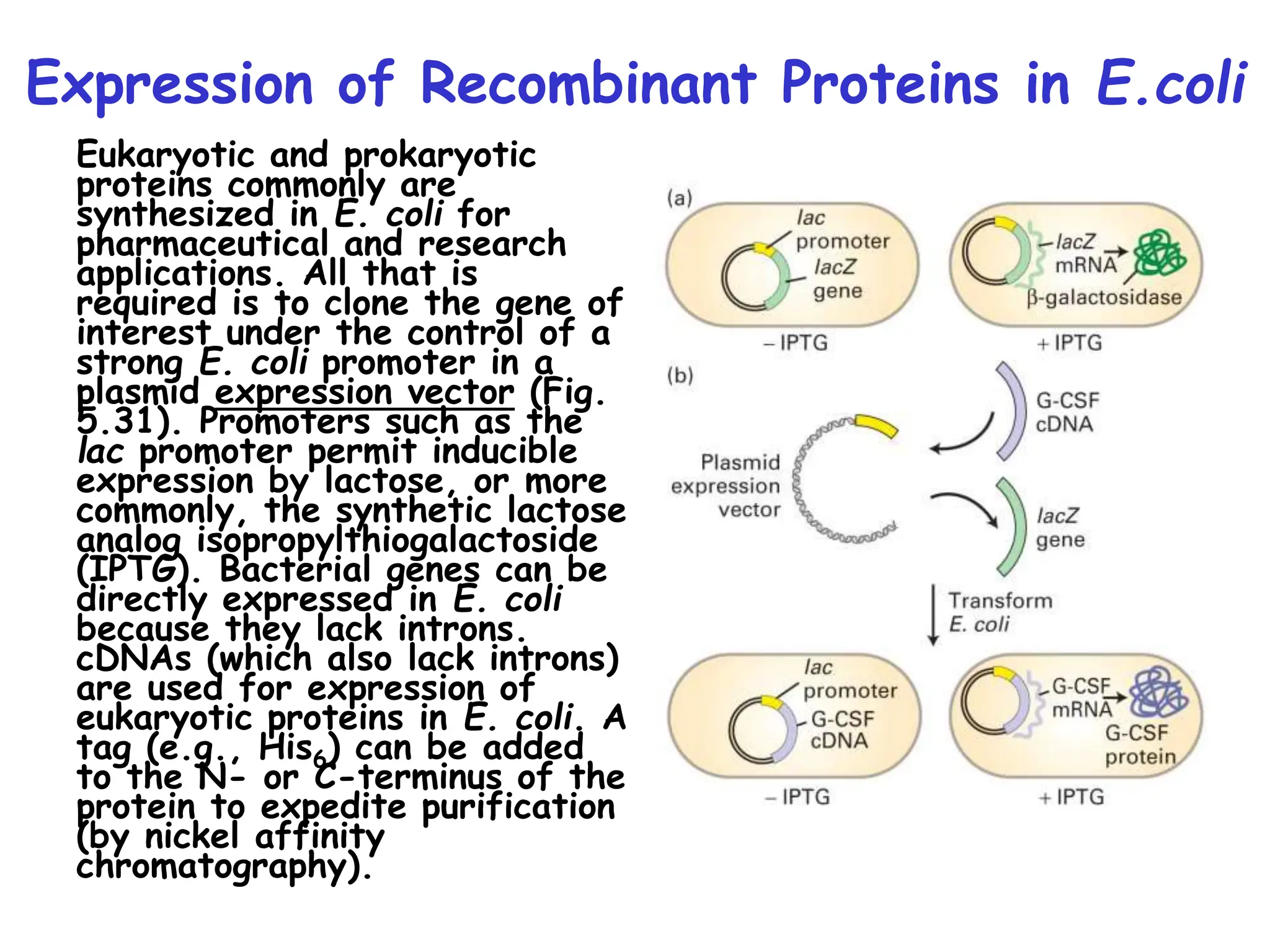 molecular genome technology powerpoint slides | PPT