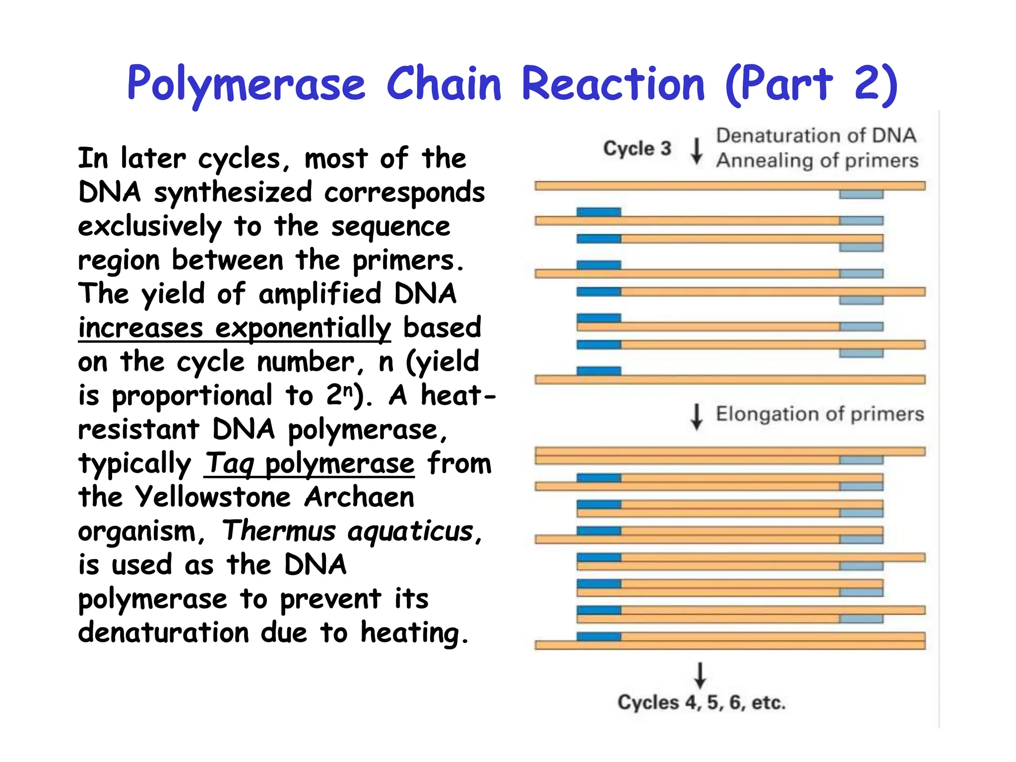 molecular genome technology powerpoint slides | PPT