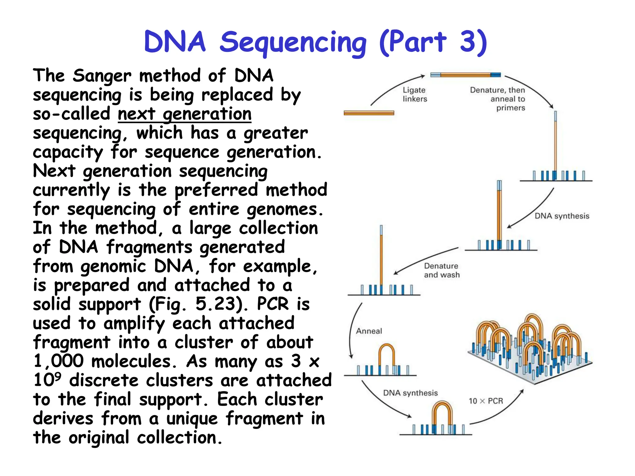 molecular genome technology powerpoint slides | PPT