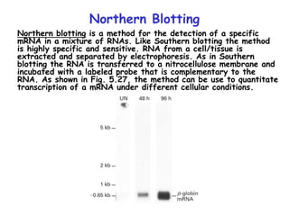 molecular genome technology powerpoint slides | PPT