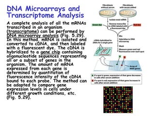 molecular genome technology powerpoint slides | PPT
