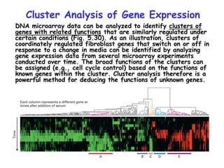 molecular genome technology powerpoint slides | PPT