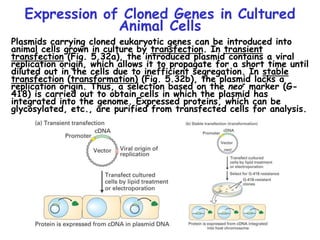 molecular genome technology powerpoint slides | PPT